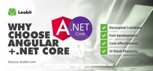 .NET Core + Angular for Web App Development | Leobit