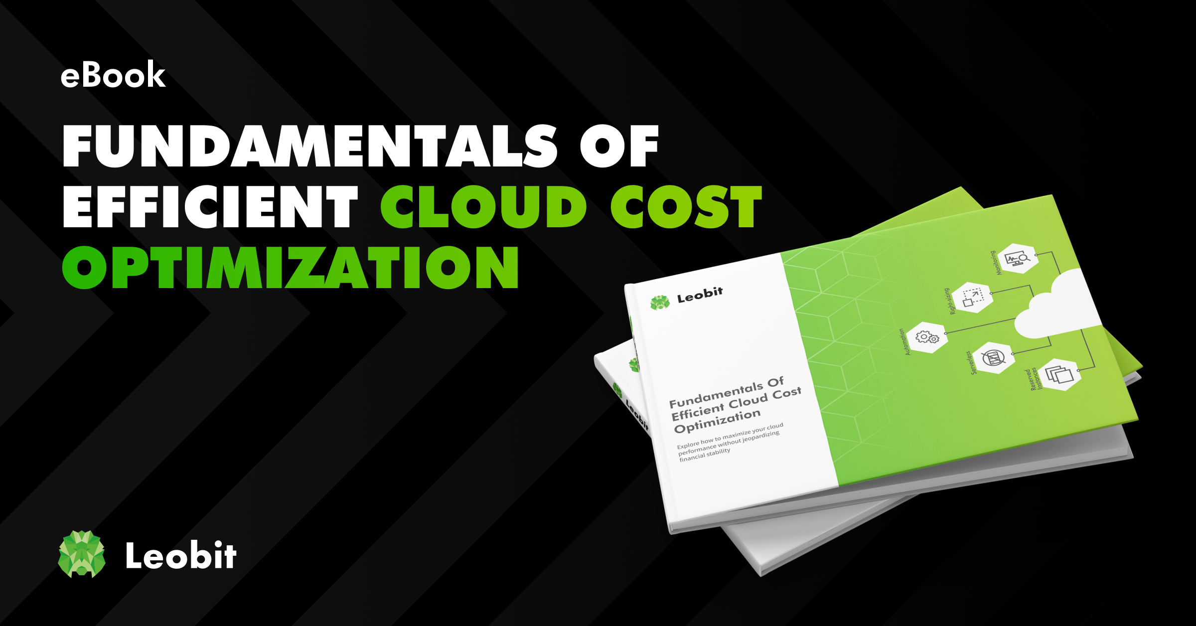 Comprehensive Guide on Efficient Cloud Cost Optimization - Leobit